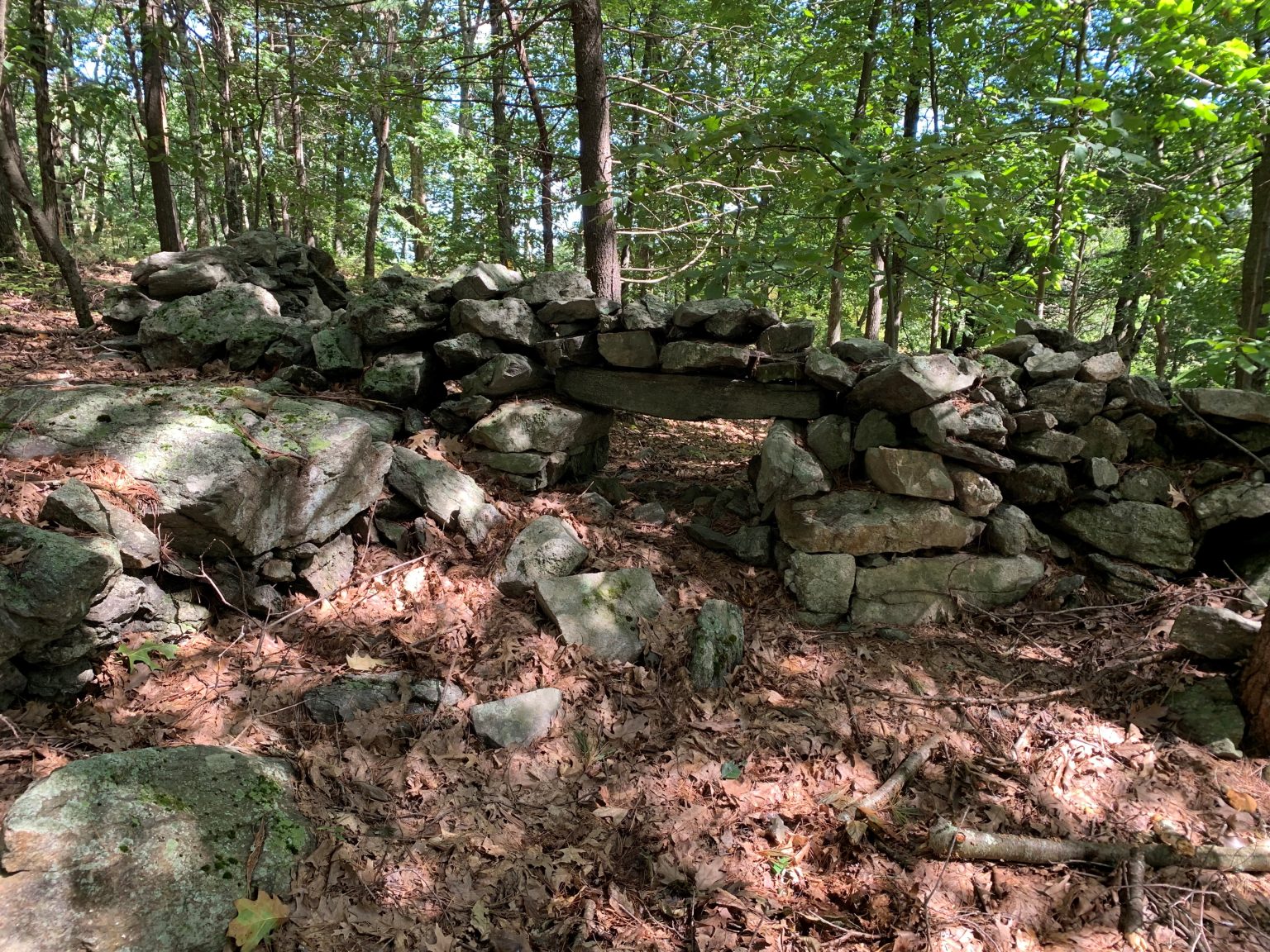 Black Pond Conservation Lands – Harvard Conservation Trust