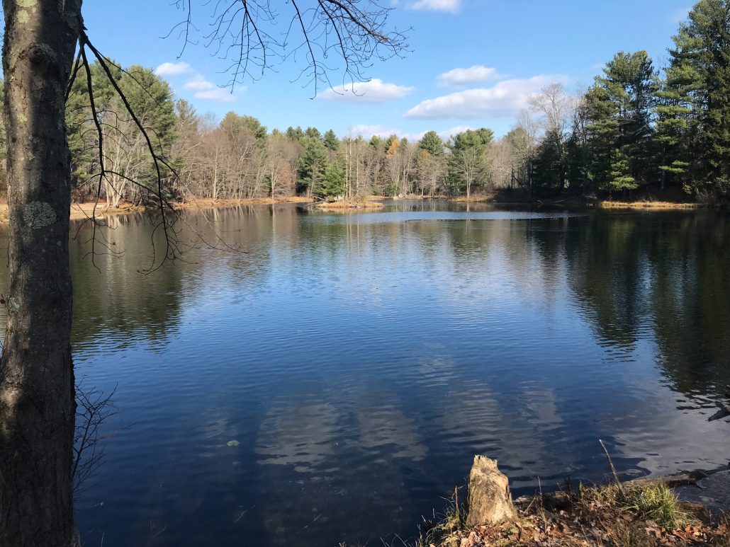 Bowers Springs Conservation Lands – Harvard Conservation Trust